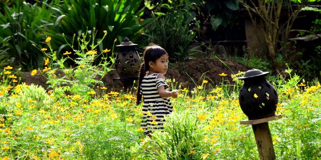 KAMU LODGE - Anciens Et Réunions